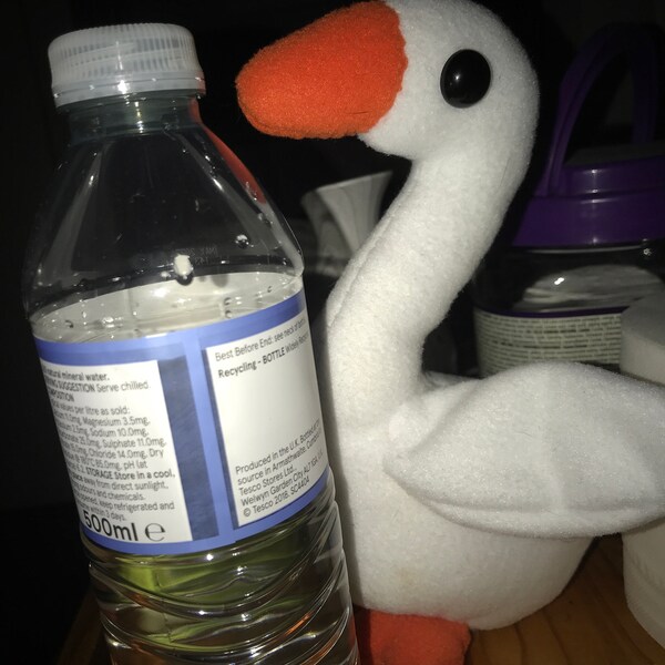 Chibi Annoying Goose Plush - Etsy