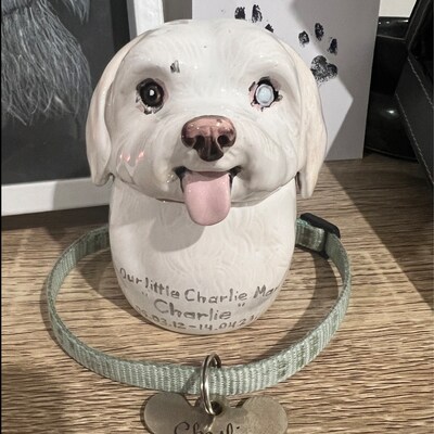 Pig Storage Jar With Lid Large and Small Pottery Canister - Etsy