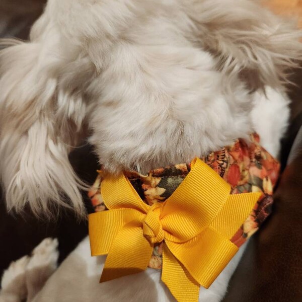 Dog Ruffle Collar, Budding Blooms Dog Scrunchie Collar With Pink ...