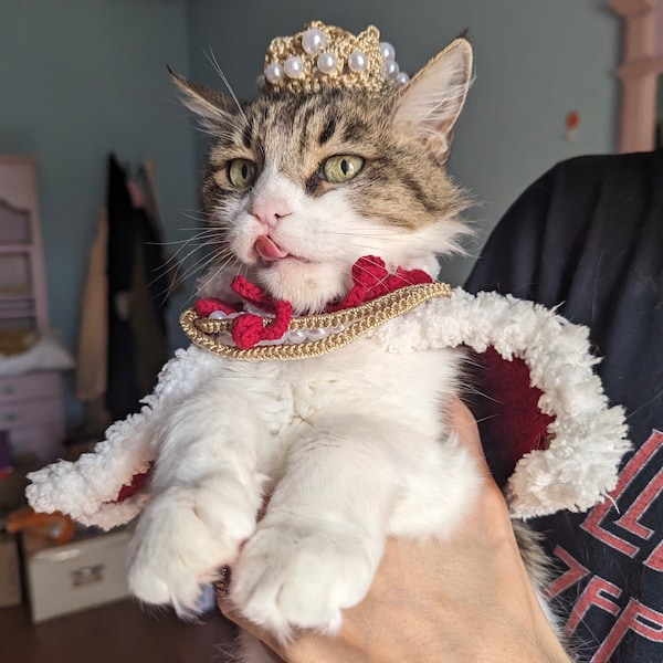 Royal Prince Nobility Clothes for Cats, Prince Crown for Cats, Handmade ...