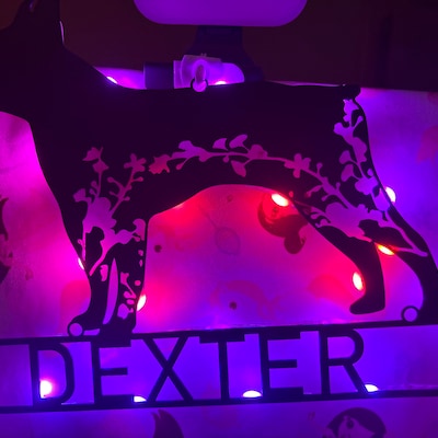 Custom Pole Dance Metal Wall Art LED Lights Personalized Girl Pole ...