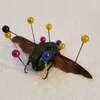 Beetle Mounting Kit for Beginners, With Real Beetles and Tools - Etsy