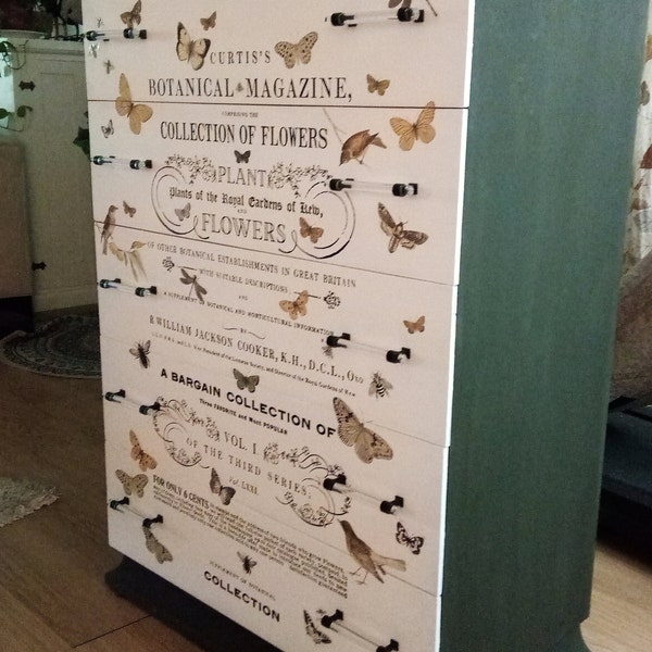 IOD Entomology Etcetera Rub on Transfer Sheet, Transfers for Crafts ...