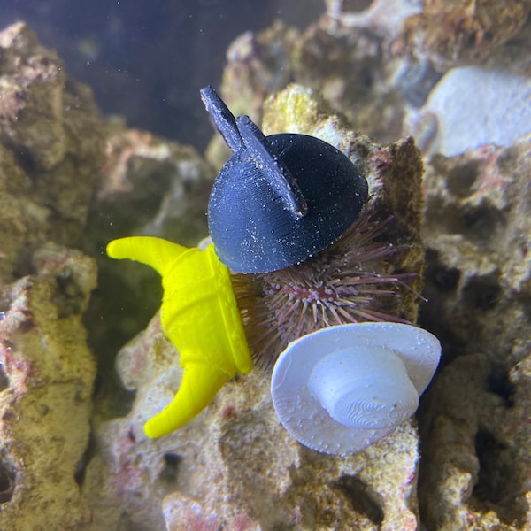 Urchin Hats 4 Pack - Etsy