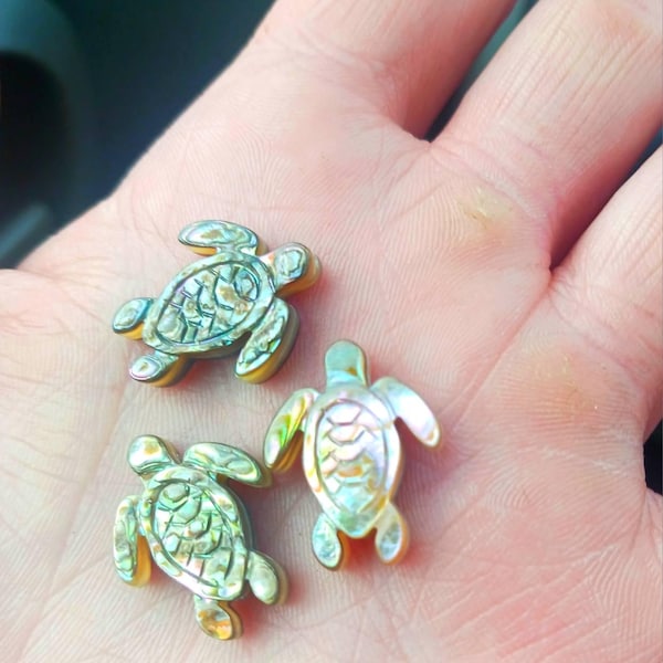 Abalone Carved Sea Turtle Shell Single Bead - 20mm - Itty Bitty Bead ...