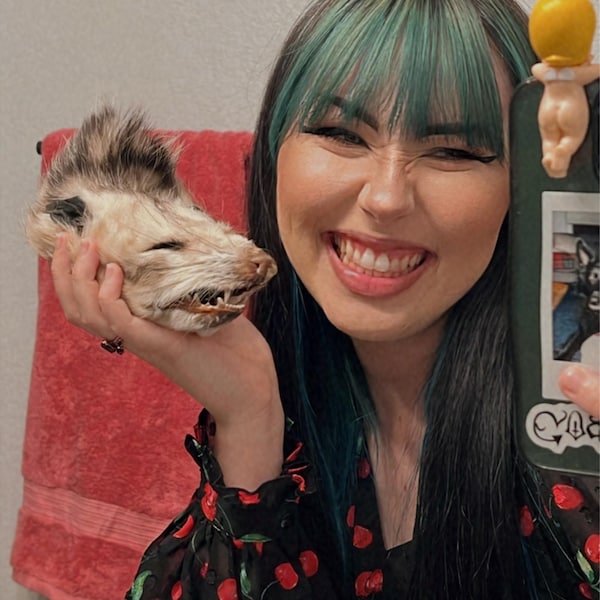 Freeze Dried Yak Feet (for One) - Taxidermy Yak, Deer Antlers ...