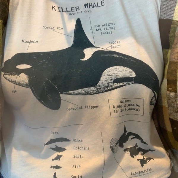 Killer Whale Anatomy Crop Top, Orca Top, Marine Biologist Shirt ...