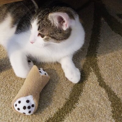 Catnip Cannoli Cat Toy - Etsy