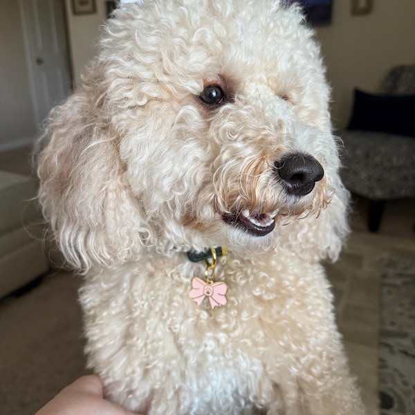 Pet Id Tag • Dog Id Tag • Dog Tag for Dogs • Personalized Tags • Dog Id ...