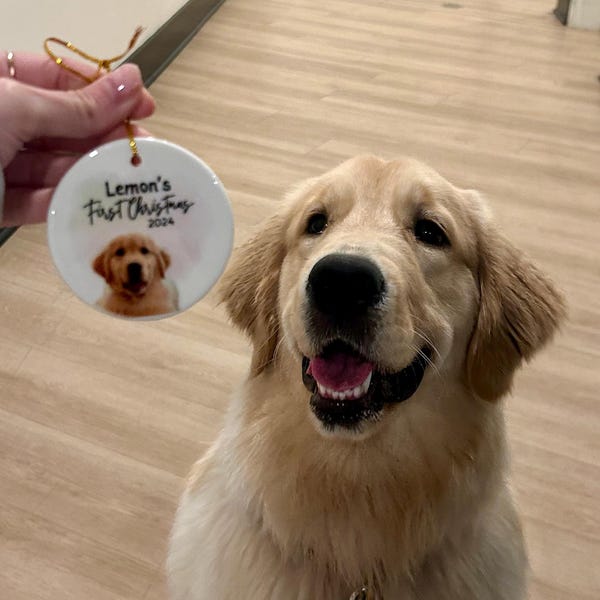 Customizable Picture Magnets for Gifts, Home & Office | Personalized ...