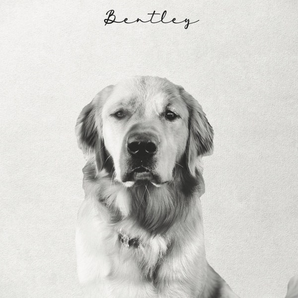 Custom Pet Portrait Printable, Custom Pet Portrait, Pet Loss Gift, Pet ...