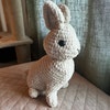 Crochet Pattern Realistic Mini Bunny Rabbit Amigurumi English PDF ...