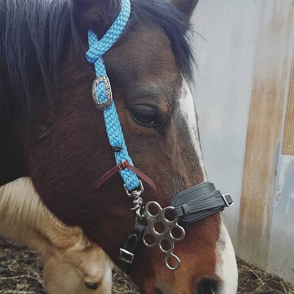 Custom One Ear Horse Headstalls/ Horse Bridle / Made to Order - Etsy