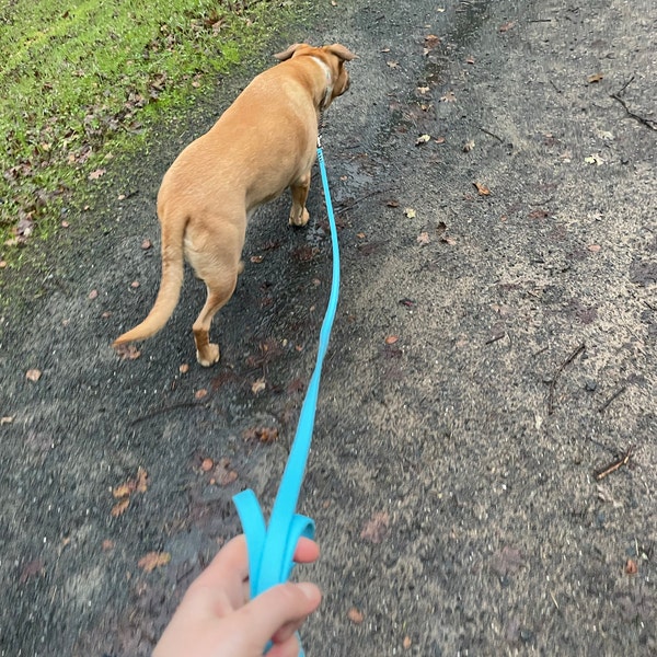 1/2 Drag Line, 1 to 50 Feet, Biothane Outdoor Waterproof Dog Long Line ...