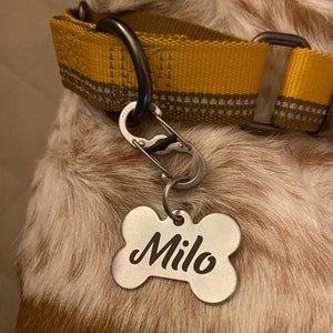 Dog Tag Dog Tags for Dogs Music Speaks Notes on a Scale | Etsy