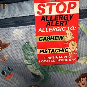 Custom Food Allergy Stickers for Lunch Boxes Labels School - Etsy