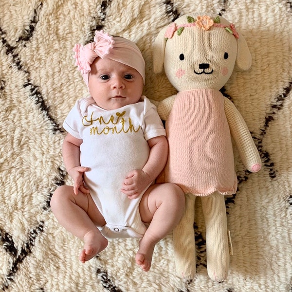 Baby Milestone Set - Bodysuit Set - Monthly Milestone Set - Custom Baby ...