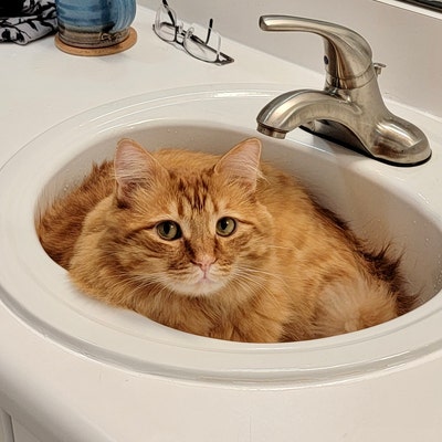 Twist Tie Toy, Natural Cat Toy, Cat Toss Toy, Twistie Toy, Toys for ...