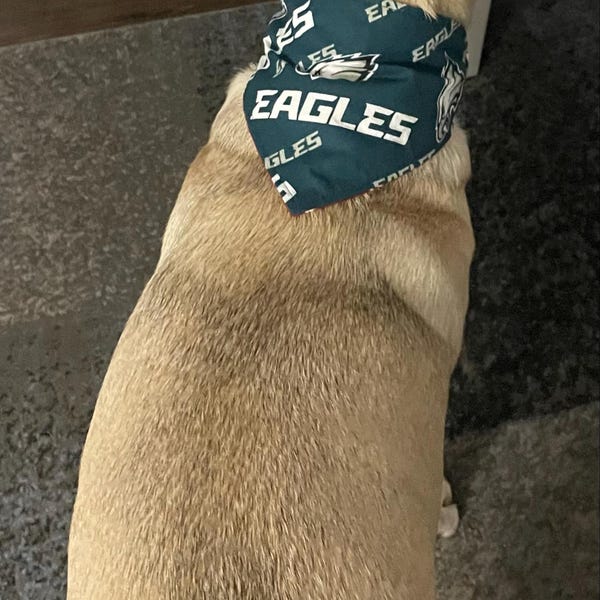 Initial Applique Quilt Pattern - Etsy