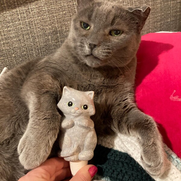 Kitten Plant Spike: Self-watering Ceramic Olla for Houseplants and ...