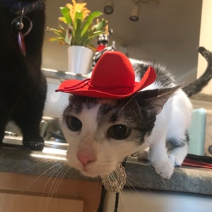 Red Cowboy Cat Hat for Your Cat - Etsy