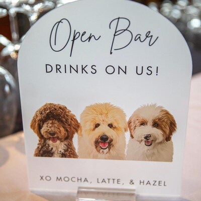 Custom Illustrated Pet Arched Bar Sign Pet Bar Menu, Custom Wedding Bar ...