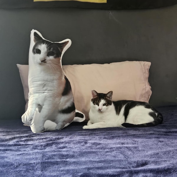 Custom Cat-shaped Throw Pillow, Personalized Cat Cushion, Custom Pet ...