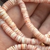 Puka Shell, Vary Size Nature Tiger Puka Shell Beads, 15.5 Inch - Etsy