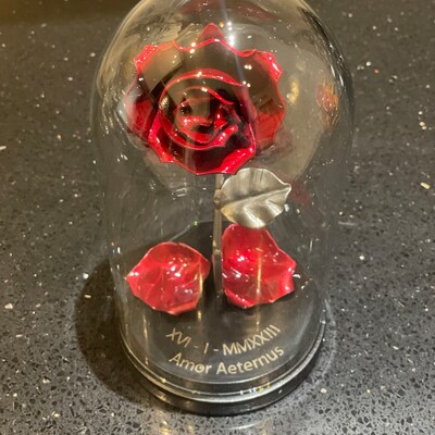 Beauty and the Beast Rose With Fallen Red Petals in Glass Dome on ...