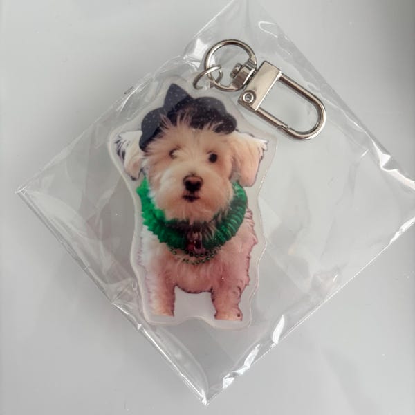 Custom Cat Keychain, Dog Keychain, Pet Keychain, Personalized Pet Photo ...