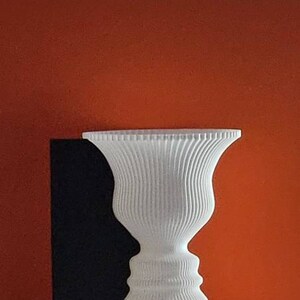 3D Printed Vase the Victorian Illusion Face in the Negative Space - Etsy