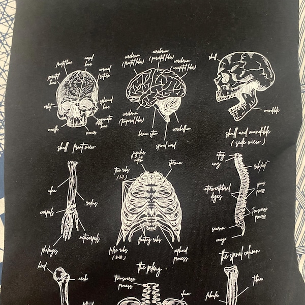 Human Skeleton Anatomy Sweatshirt, Unisex Medical Hoodie, Human Body ...