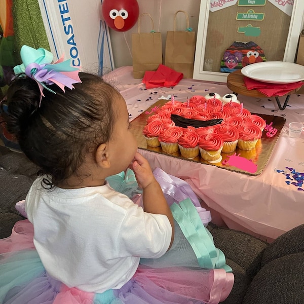 Cotton Candy Tutu, Unicorn Tutu, Birthday Tutu, Ribbon Trimmed, Pink ...