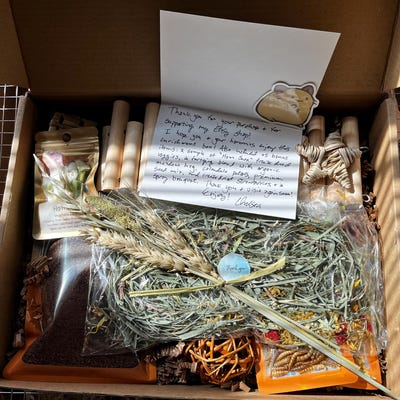 Hamster Activity Box Spring Garden Forage Chew Dig Enrichment Toys ...