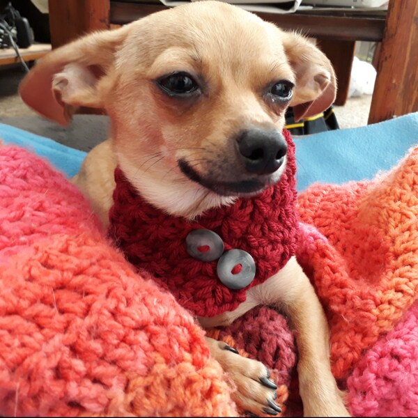 Small Dog Crocheted Scarf, Dog Neck Warmer, Fits Most S or M Dogs and ...