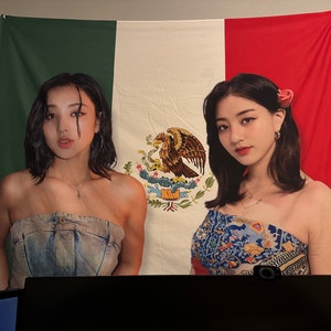 Twice Momo Flag Banner, Twice Momo Kpop American Flag Tapestry, Twice ...