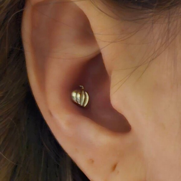 14K Solid Yellow, Rose, White Gold Gift Bow Piercing, Body Jewelry, 25g ...