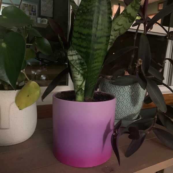 Colorful Gradient Planter - Indoor or Outdoor Planter - Choose Your ...