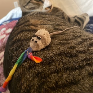 Striped Dragonfly 3 Pack Cat Toy by Litterboy Pets | Etsy