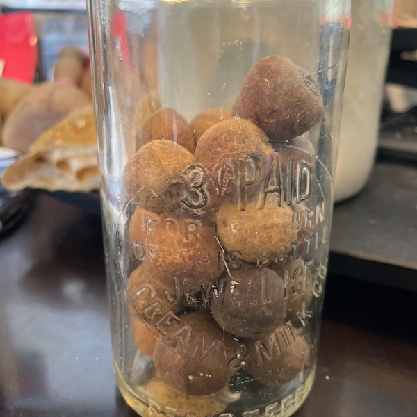 NEW Early Primitive Flowers Grubby Sunflowersmake Do Needfulcabinet ...