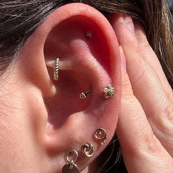 14k Solid Gold Bat Wing Stud Earring Dinosaur Helix Stud Conch Stud ...