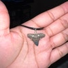 CUSTOM SHARK TOOTH Necklace, Real Ancient Fossil Sharks Teeth Jewelry ...