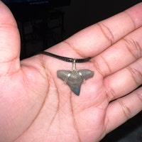 CUSTOM SHARK TOOTH Necklace, Real Ancient Fossil Sharks Teeth Jewelry ...