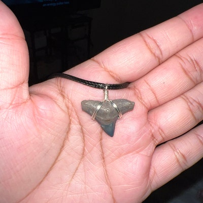 UNIQUE 3.75 Inch Megalodon Shark Tooth Large Fossil, Real Meg Teeth ...
