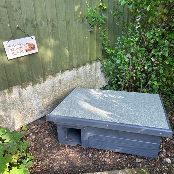 XL Digging Box for Rabbits Indoor Use Only - Etsy