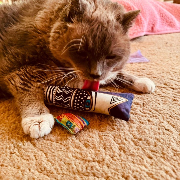 Puppy Catnip Toy, Dog Catnip Toy, Bully Dog Catnip Toy, Cat Lover Gift ...