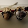 Bat Plush, Fruit Bat, Flying Fox Cute Toys Bat Stuffed Animal Halloween ...