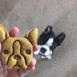 Boston Terrier Cookie Cutter Set Boston Terrier Gift great Gift for ...