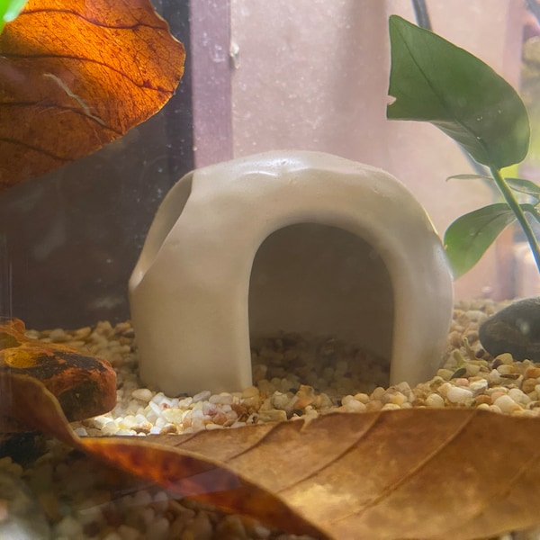 Small Fish Hide MADE TO ORDER - Betta Fish Cave - Small Aquarium Decor ...