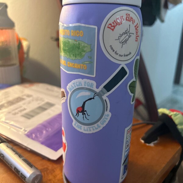 Support Local Biodiversity Environmental Preservation Original Art ...